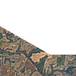 ArcGIS Web Application